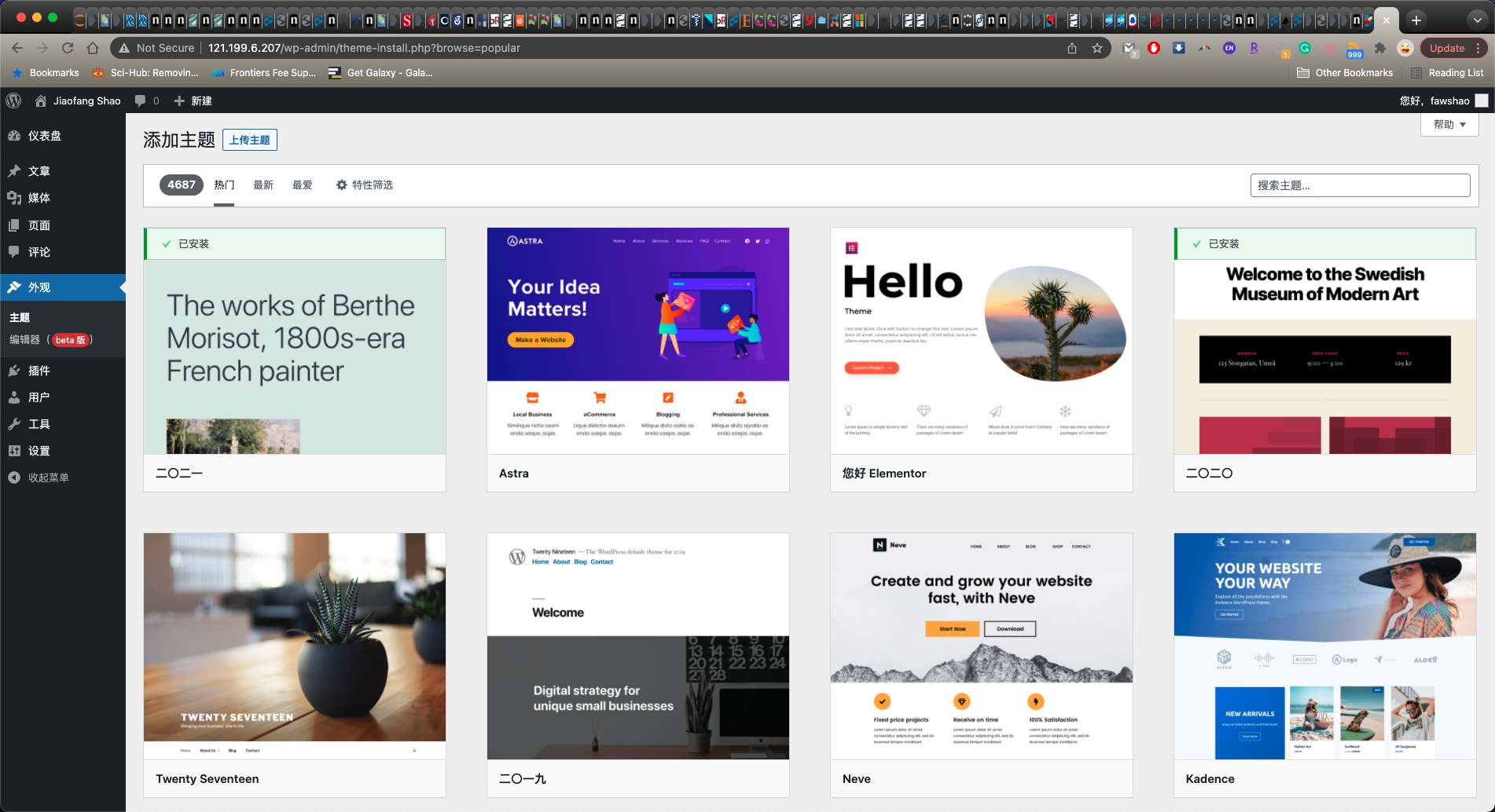 WordPress